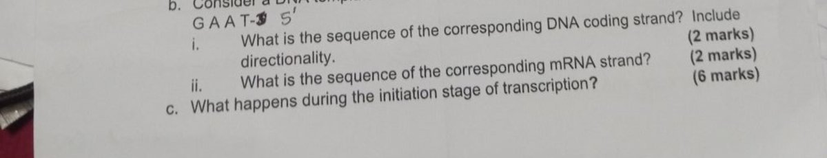 b. Consider a DNA template strand with the sequence: GAAT-3'5' i. What is..