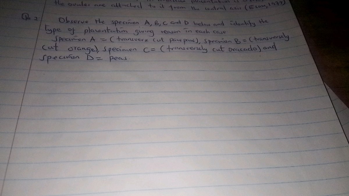 Qn 2: Observe the specimen A, B, C and D below and identify the type of p..