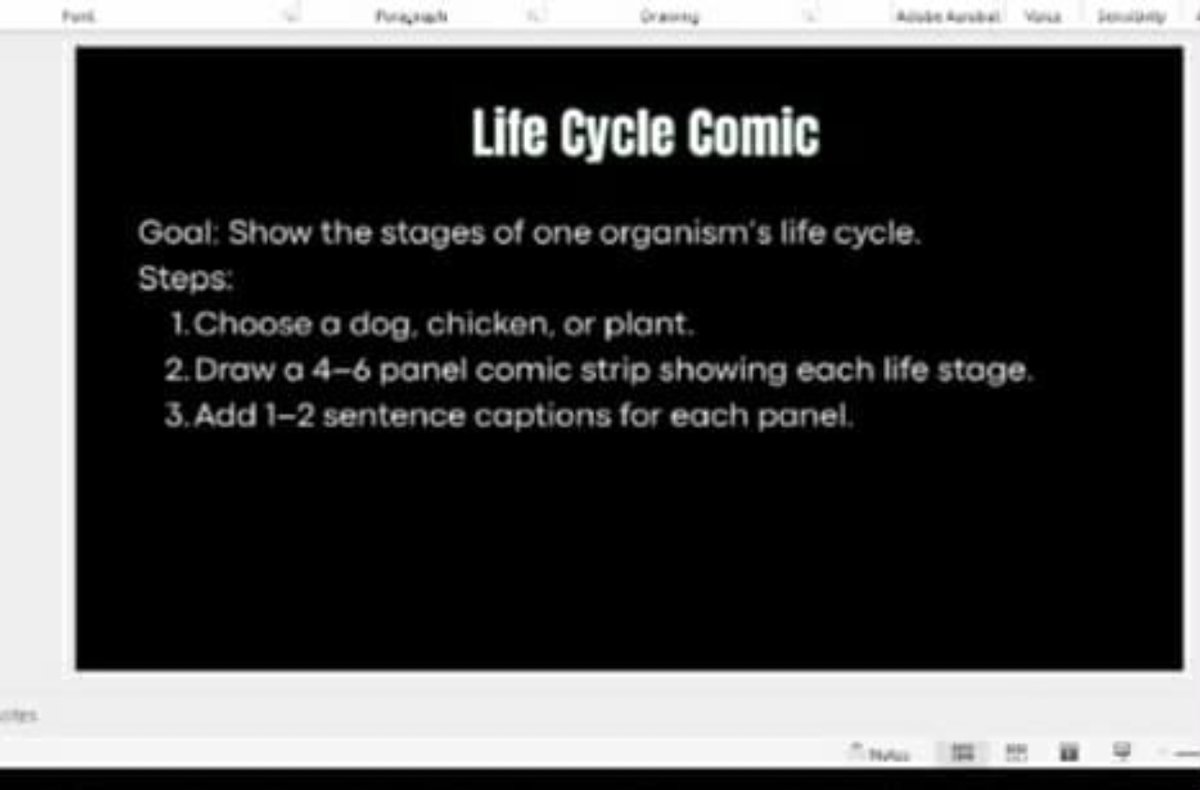 Life Cycle Comic Goal: Show the stages of one organism's life cycle. St..