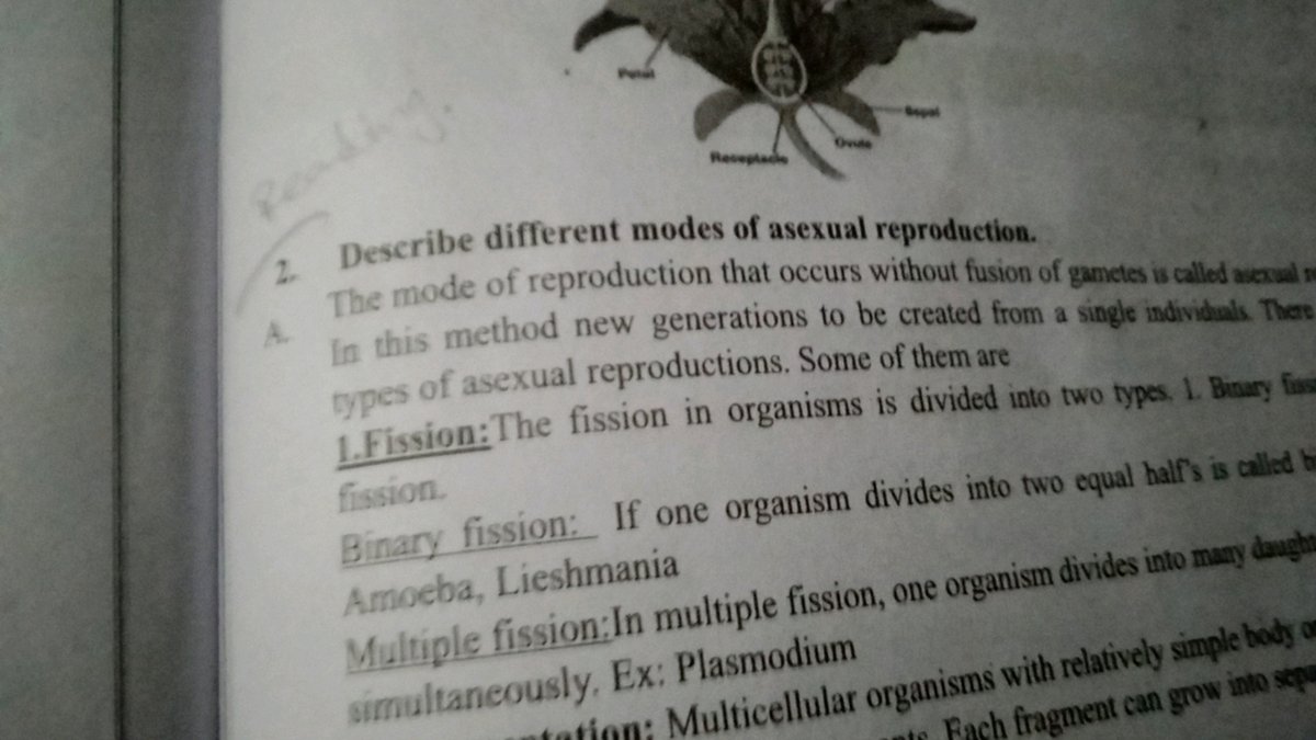 Describe different modes of asexual reproduction. The mode of reproductio..