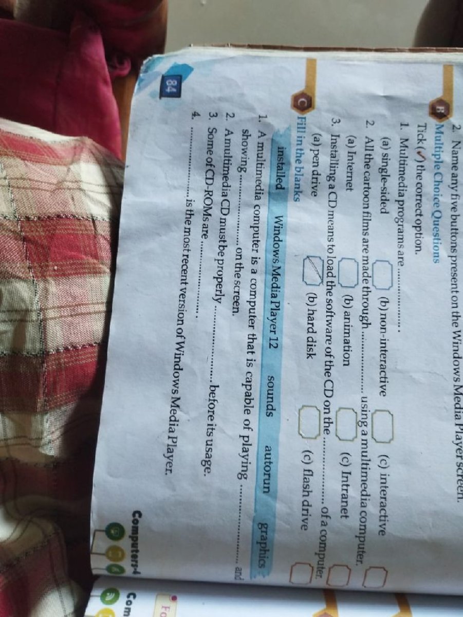B Multiple Choice Questions Tick ( ) the correct option. Multimedia progr..