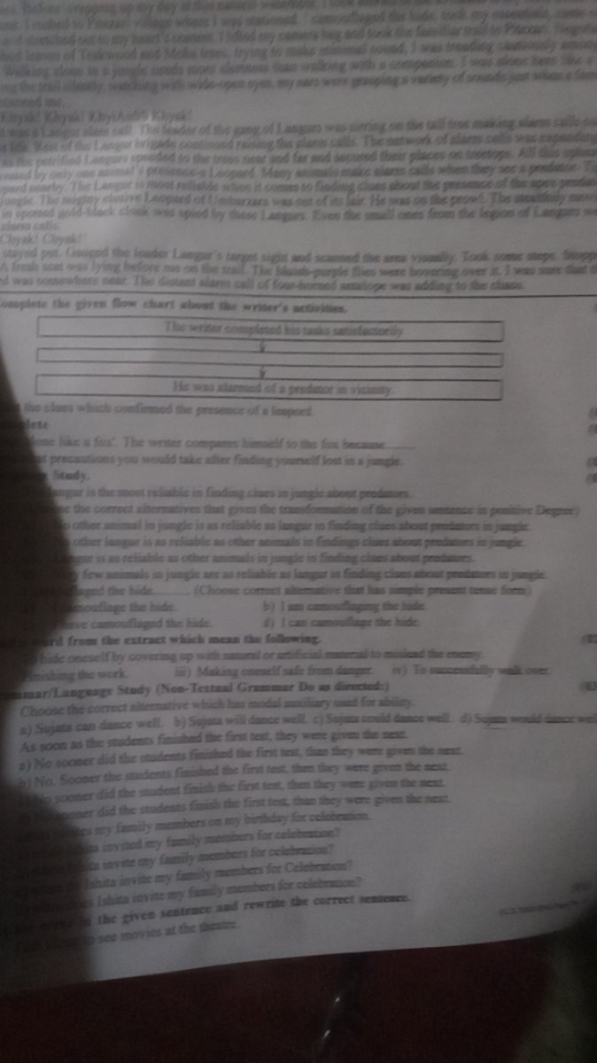 Complete the given flow chart about the writer's activities. | The write..