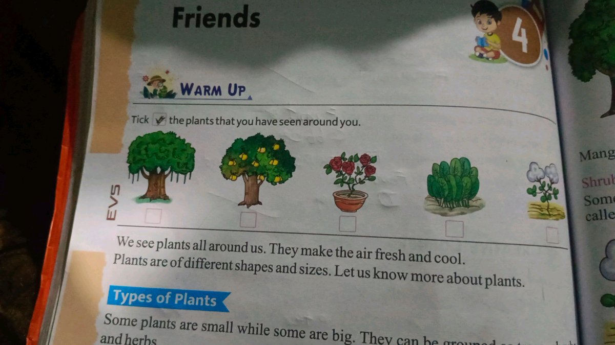 Tick the plants that you have seen around you. We see plants all around