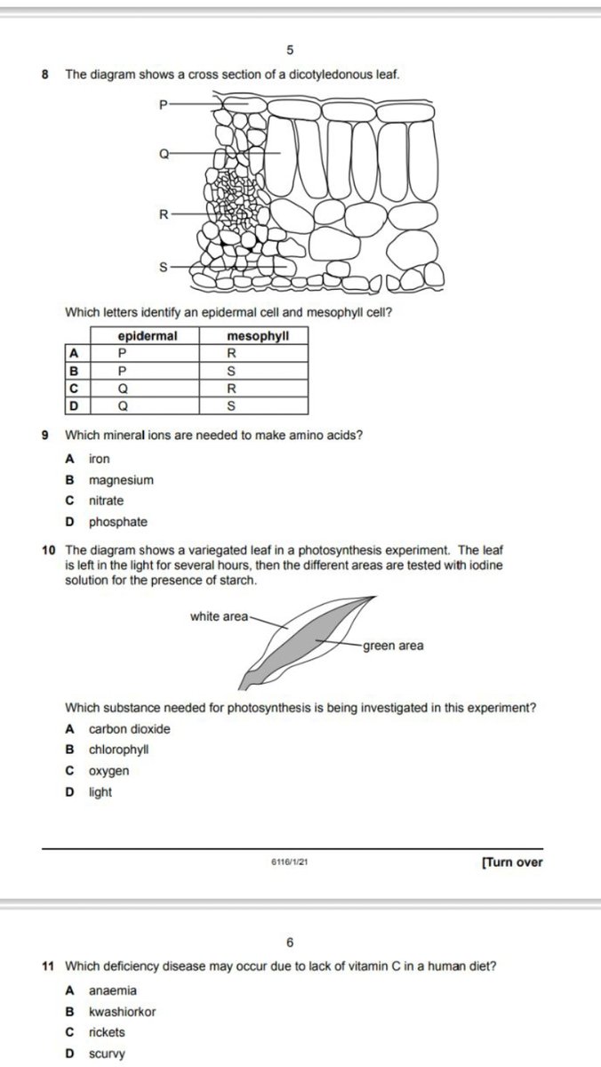 8 The diagram shows a cross section of a dicotyledonous leaf. Which lett..