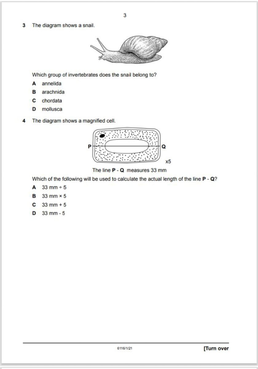 3 The diagram shows a snail. Which group of invertebrates does the snail..