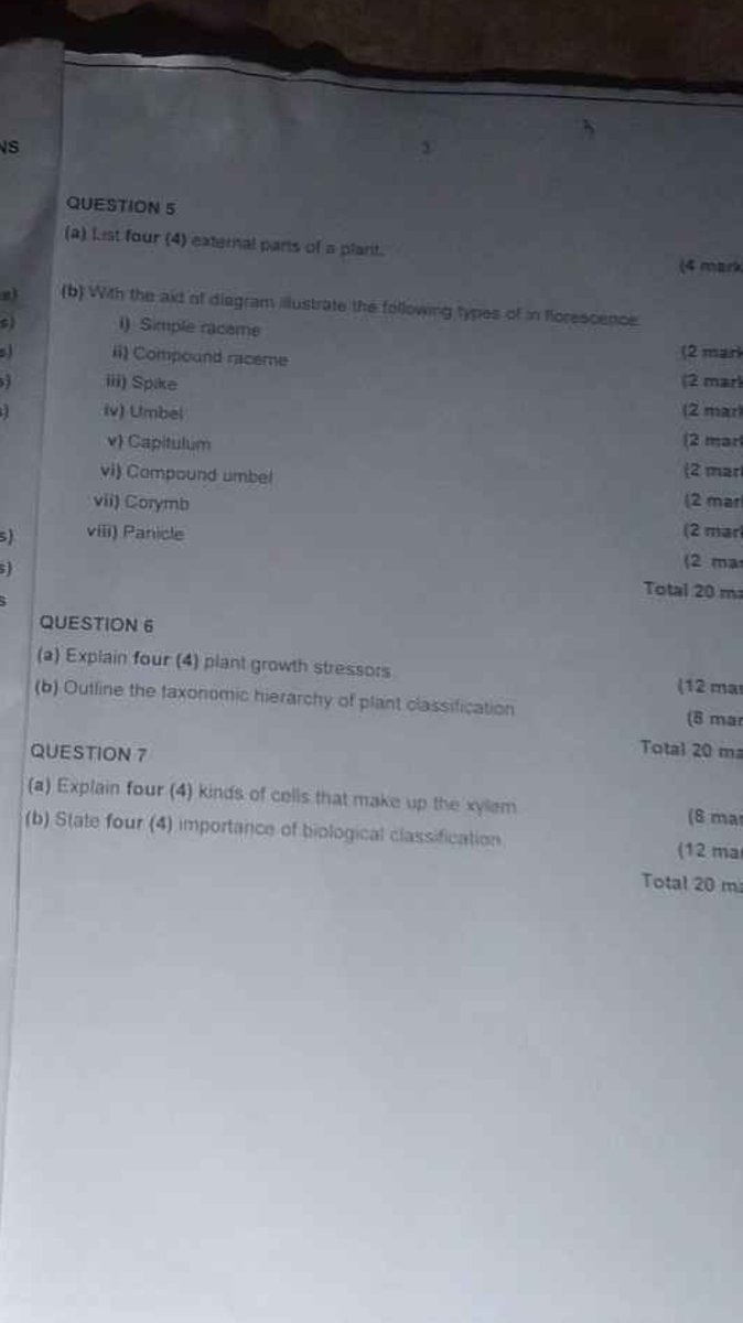 QUESTION 5 (a) List four (4) external parts of a plant. (b) With the aid