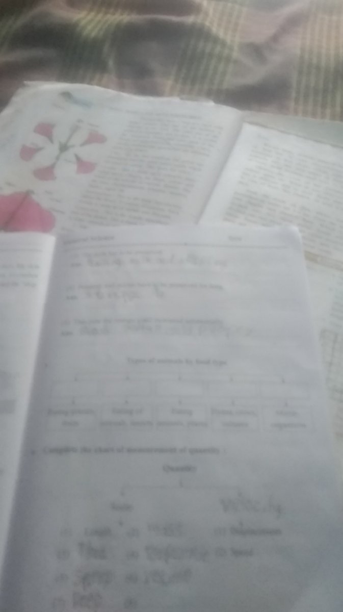 Complete the chart of measurement of quantities: Quantity Scale Veloci..