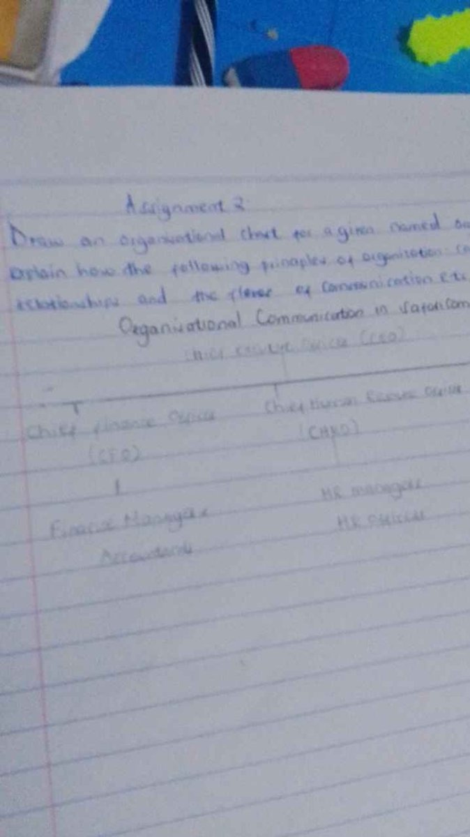 Assignment 2 Draw an organizational chart for a given named organization..