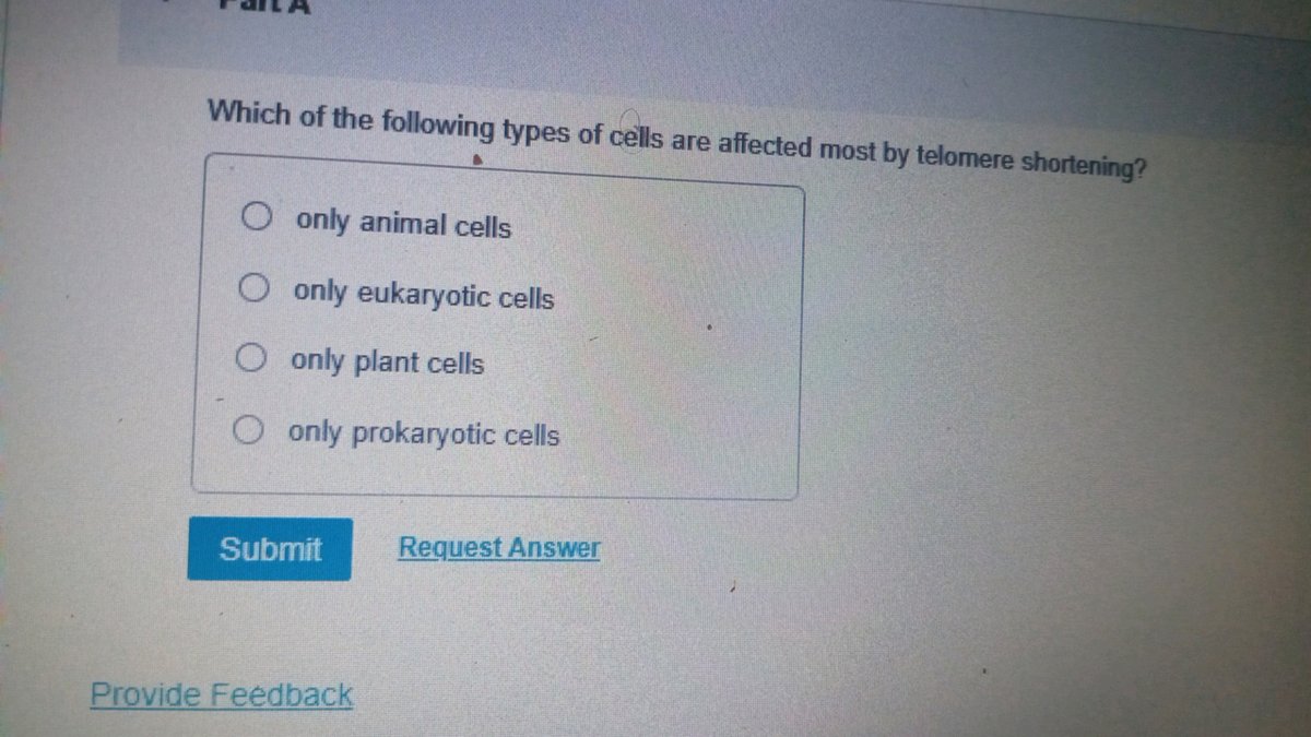Which of the following types of cells are affected most by telomere short..