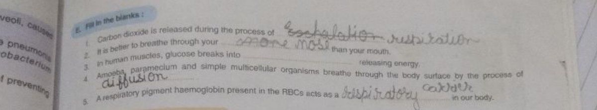 Fill in the blanks: Carbon dioxide is released during the process of