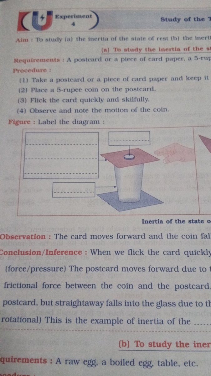 Figure: Label the diagram: | Filo