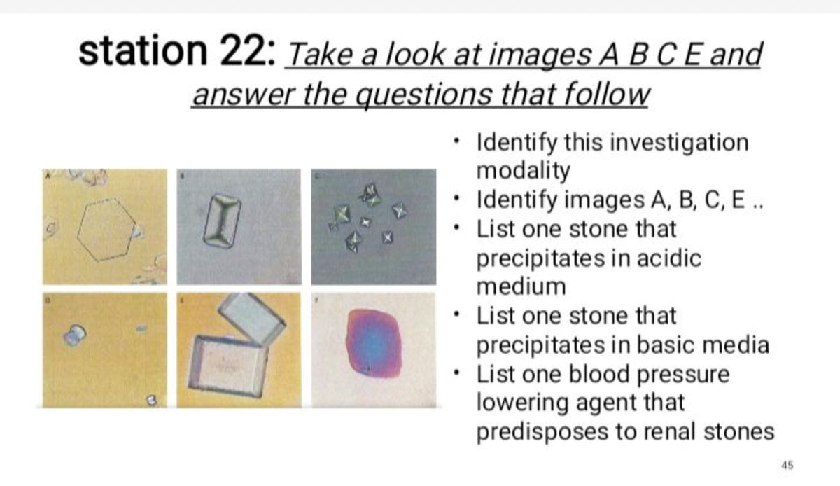 station 22: Take a look at images A B C E and answer the questions that f..