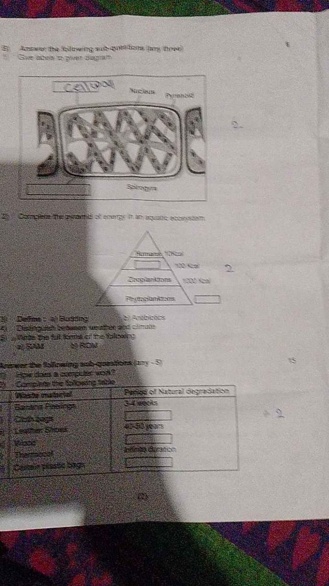 Answer the following sub-questions (any three): Give labels to the given..