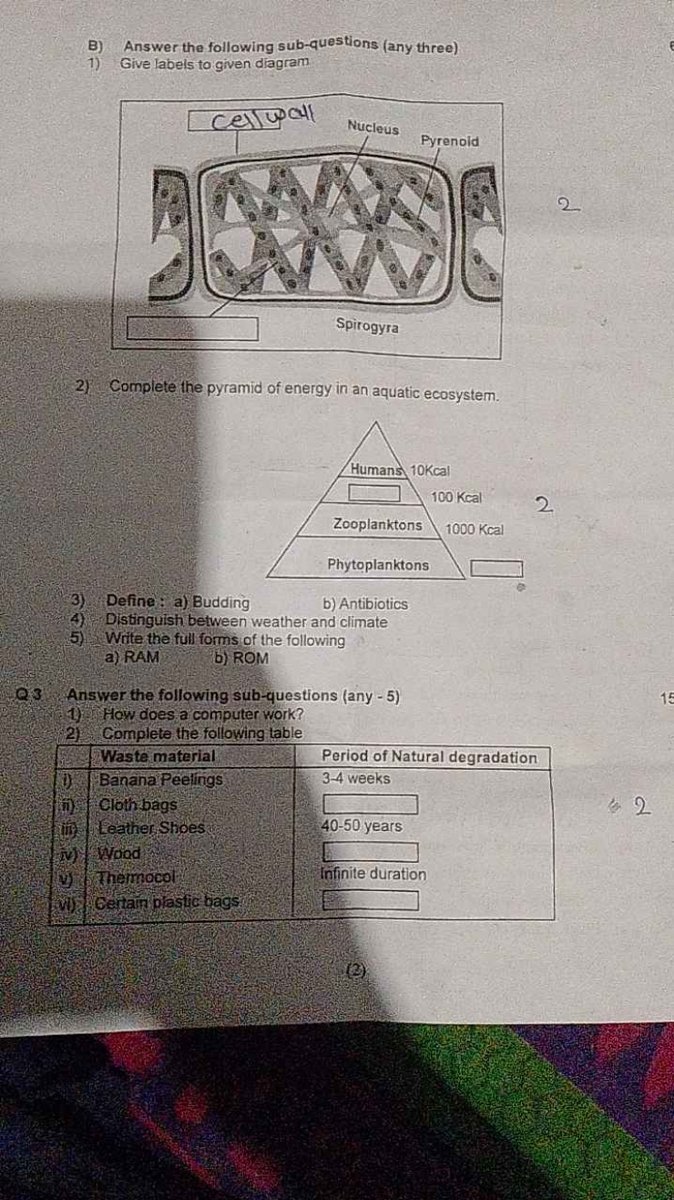 B) Answer the following sub-questions (any three) 1) Give labels to given..
