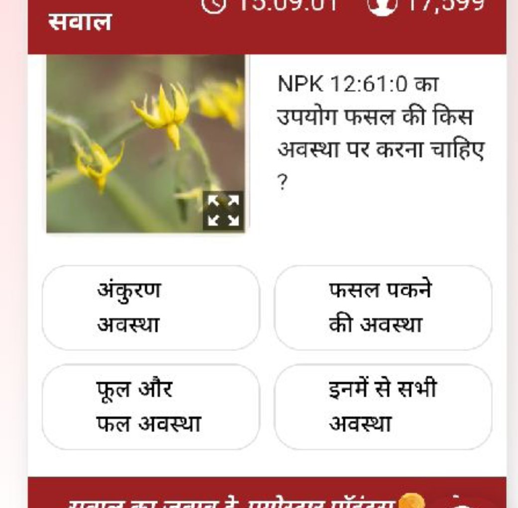 NPK 12:61:0 का उपयोग फसल की किस अवस्था पर करना चाहिए? (A) अंकुरण अवस्था