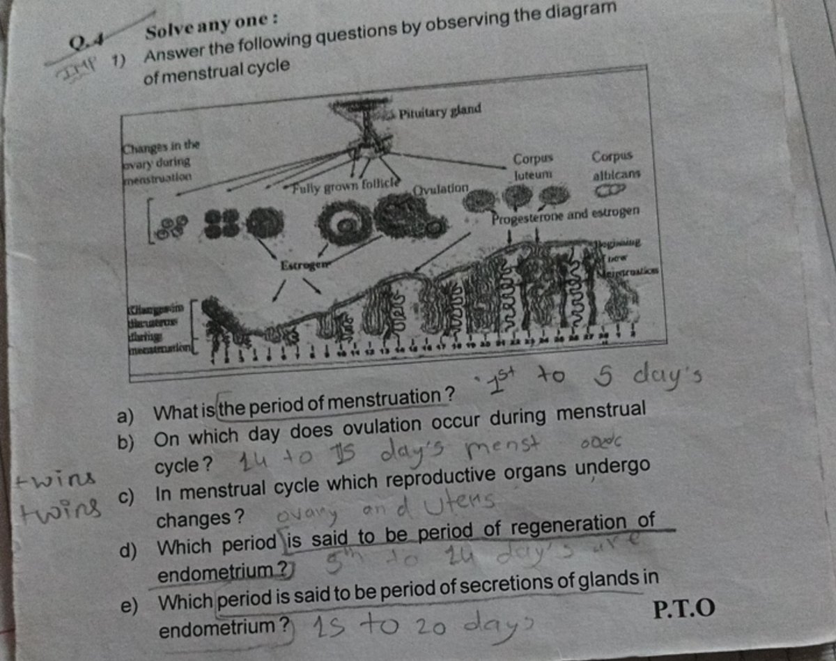 Solve any one: 1) Answer the following questions by observing the diagram..