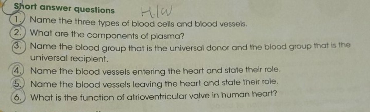 Short answer questions Name the three types of blood cells and blood ves..