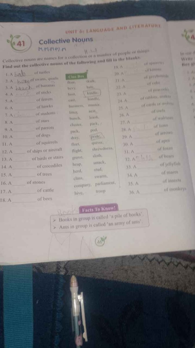 Collective Nouns Collective nouns are names for a collection or a number..