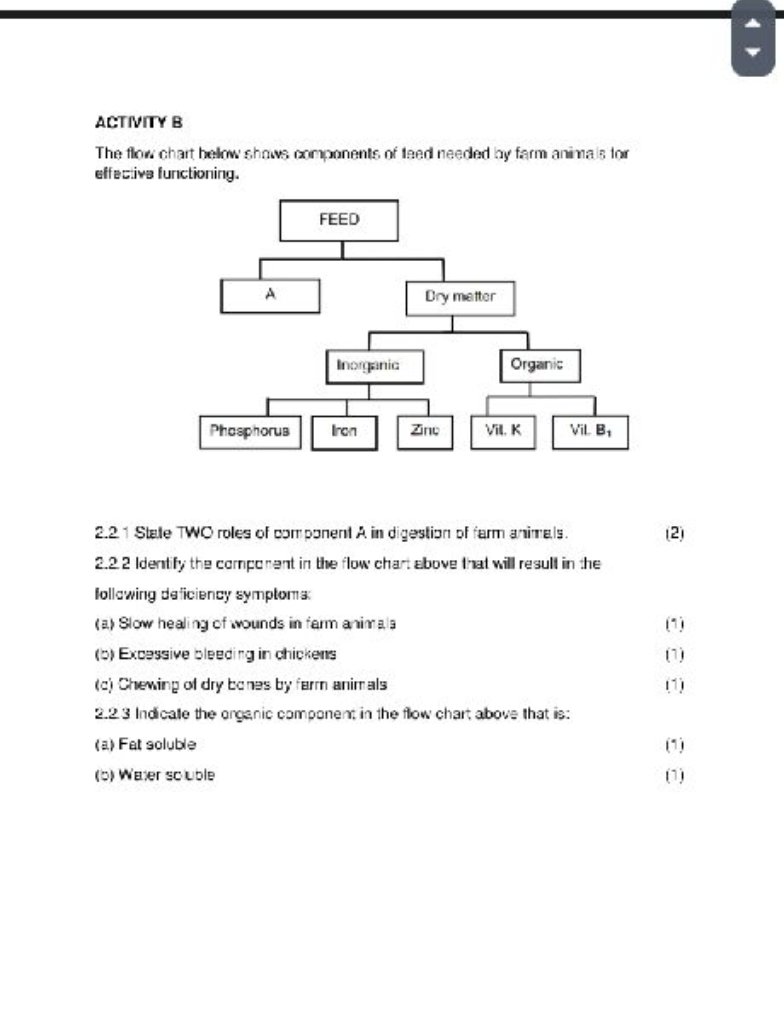 ACTIVITY B The flow chart below shows components of feed needed by farm a..