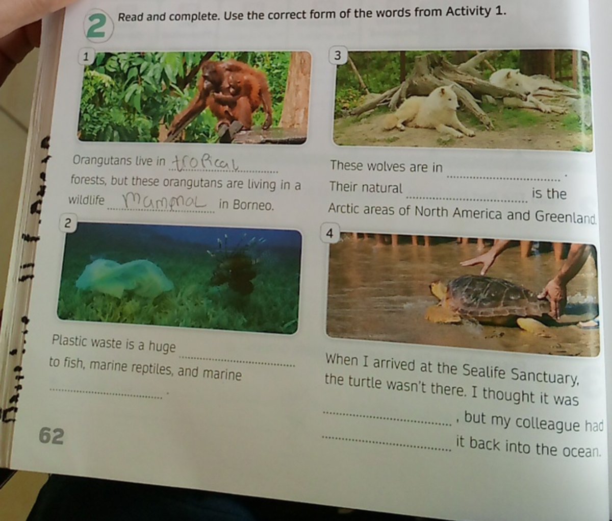 Read and complete. Use the correct form of the words from Activity 1. Or..