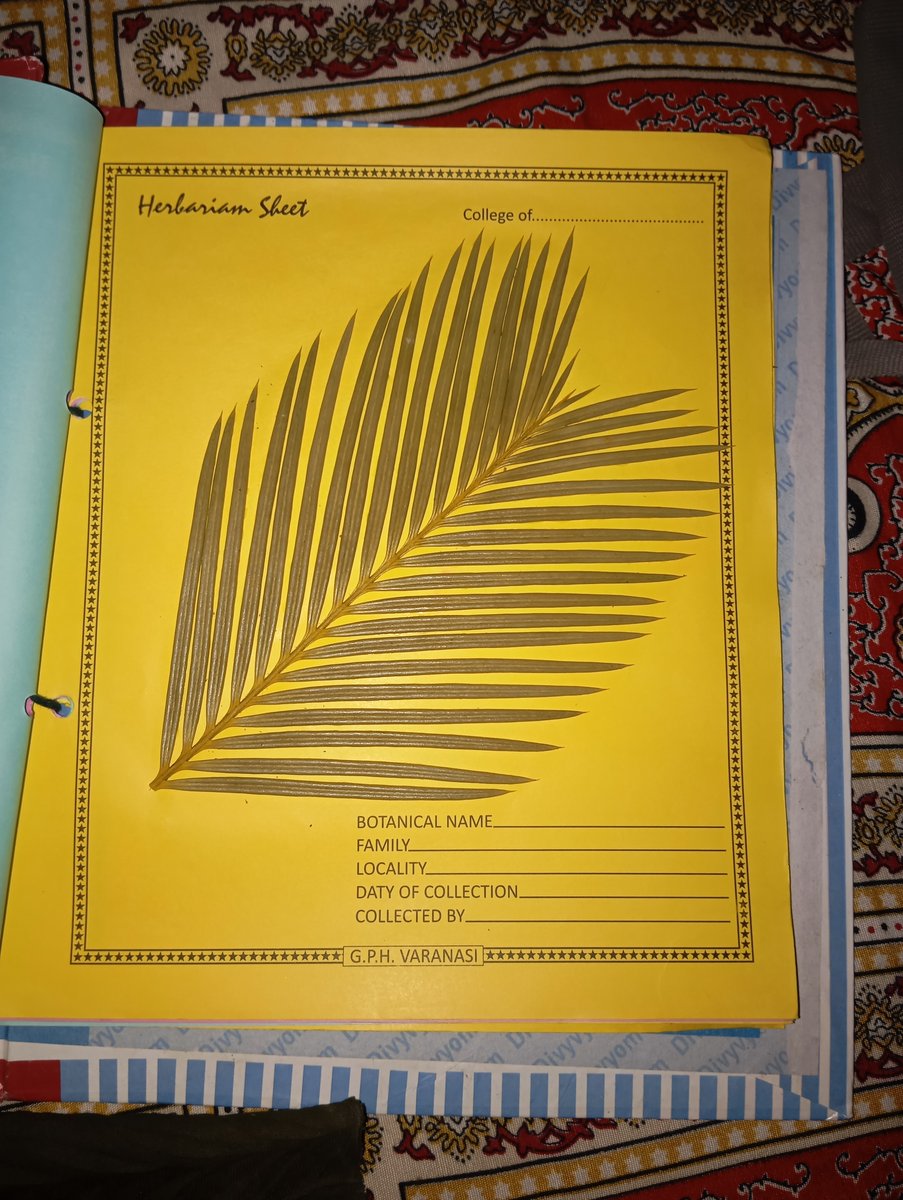The image shows a Herbarium Sheet with a plant specimen (a leaf) and fiel..
