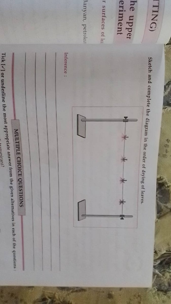 Sketch and complete the diagram in the order of drying of leaves. Infere..