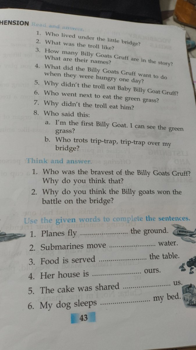 Read and answer. Who lived under the little bridge? What was the troll l..