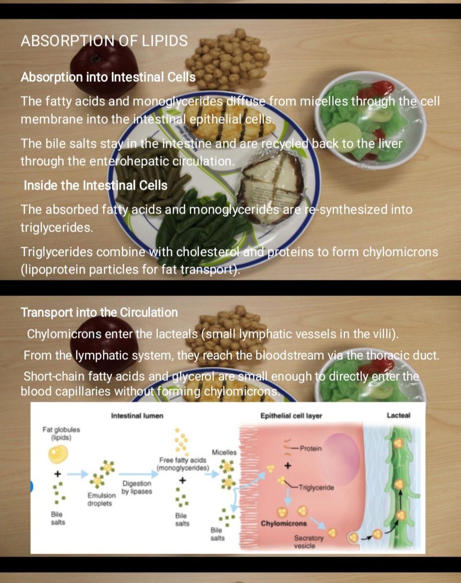 ABSORPTION OF LIPIDS Absorption into Intestinal Cells The fatty acids an..