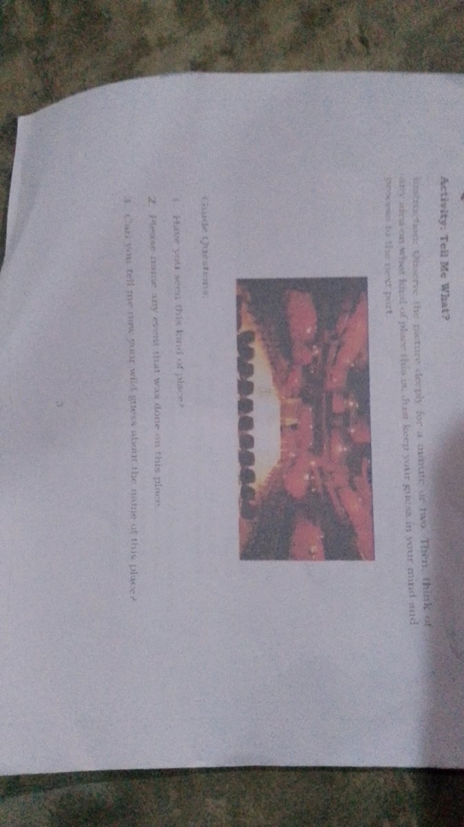 Activity: Tell Me What? Instruction: Observe the picture deeply for a mi..