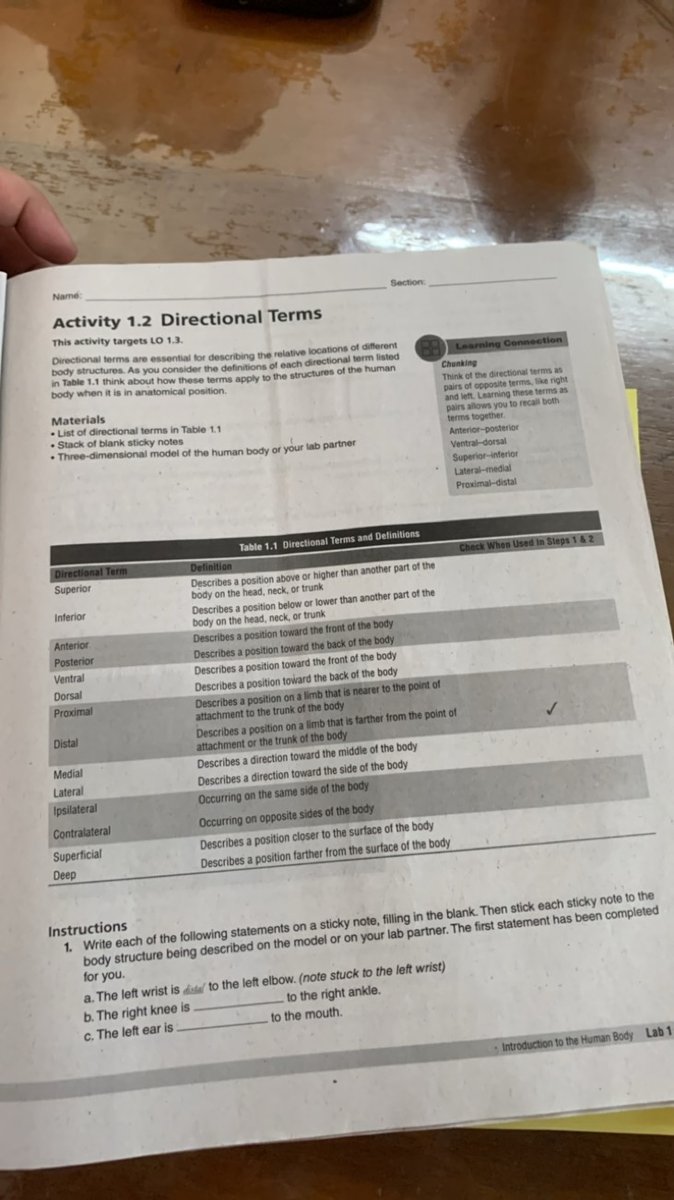 Activity 1.2 Directional Terms This activity targets LO 1.3. Directiona..
