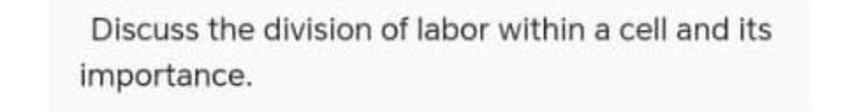 Discuss the division of labor within a cell and its importance. | Filo