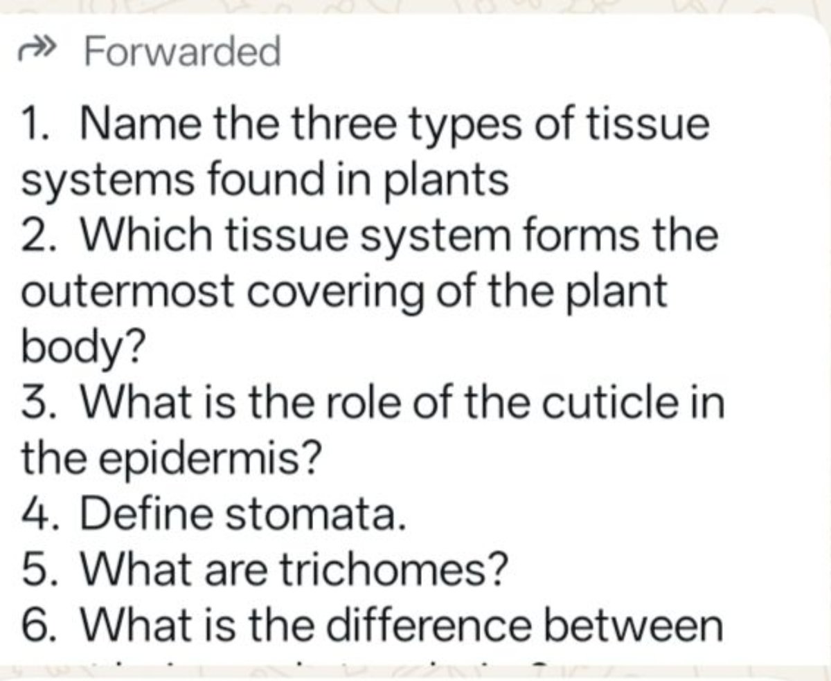 Name the three types of tissue systems found in plants. Which tissue syst..