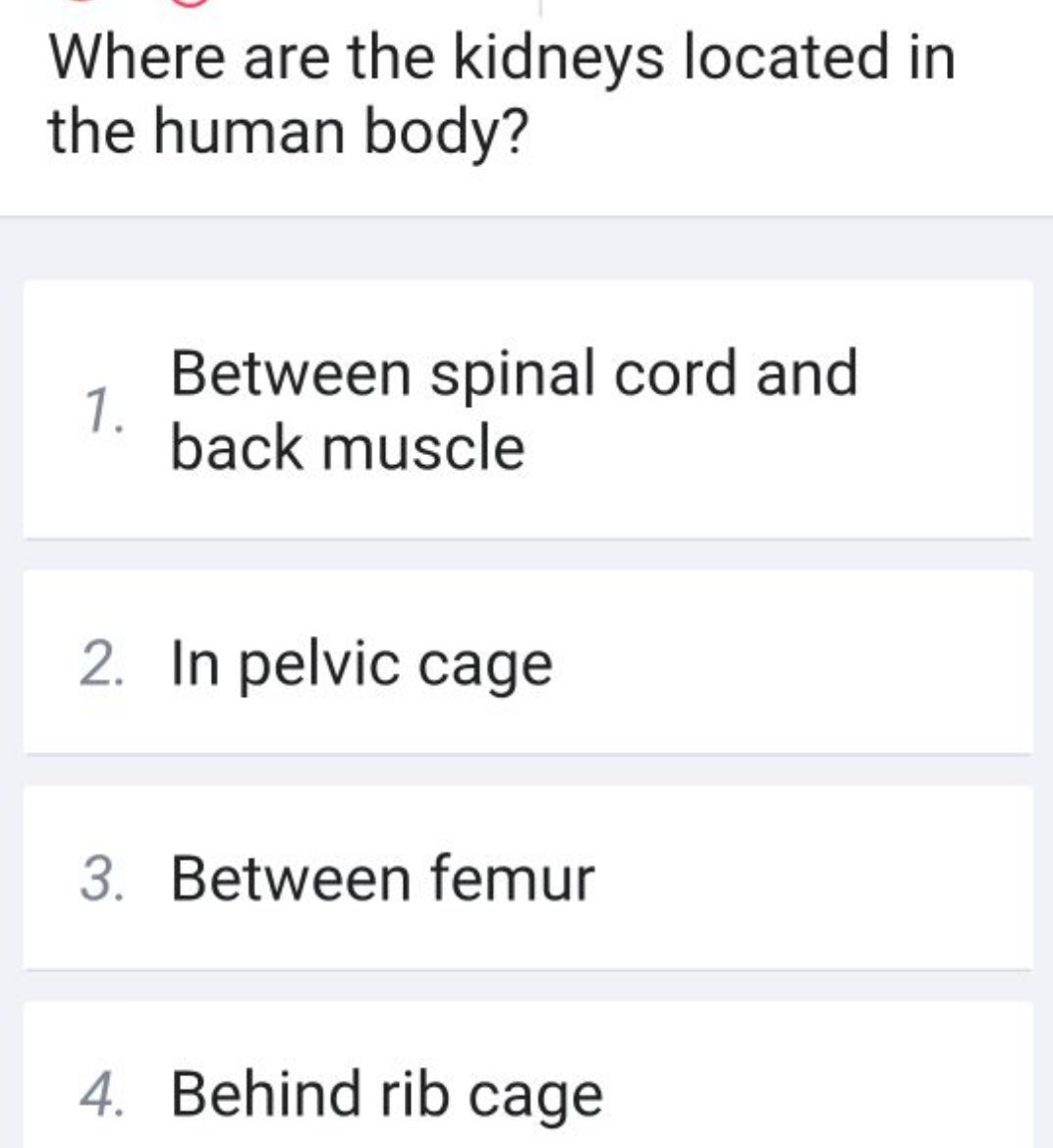 Where are the kidneys located in the human body? Between spinal cord and..