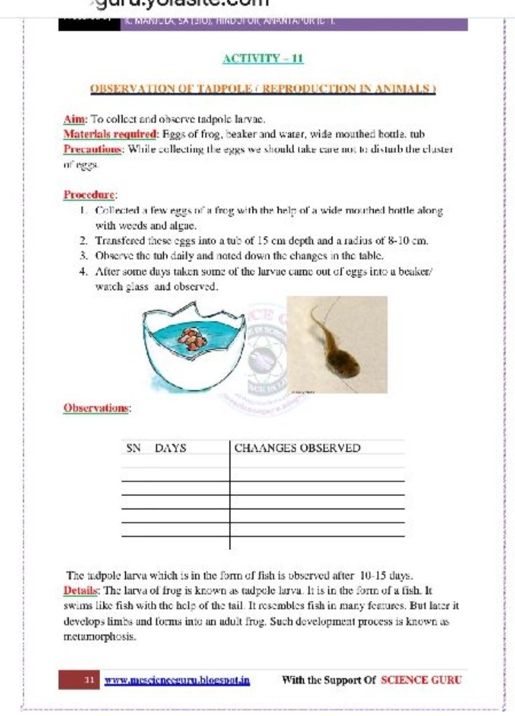 ACTIVITY - 11 OBSERVATION OF TADPOLE (REPRODUCTION IN ANIMALS) Aim: To