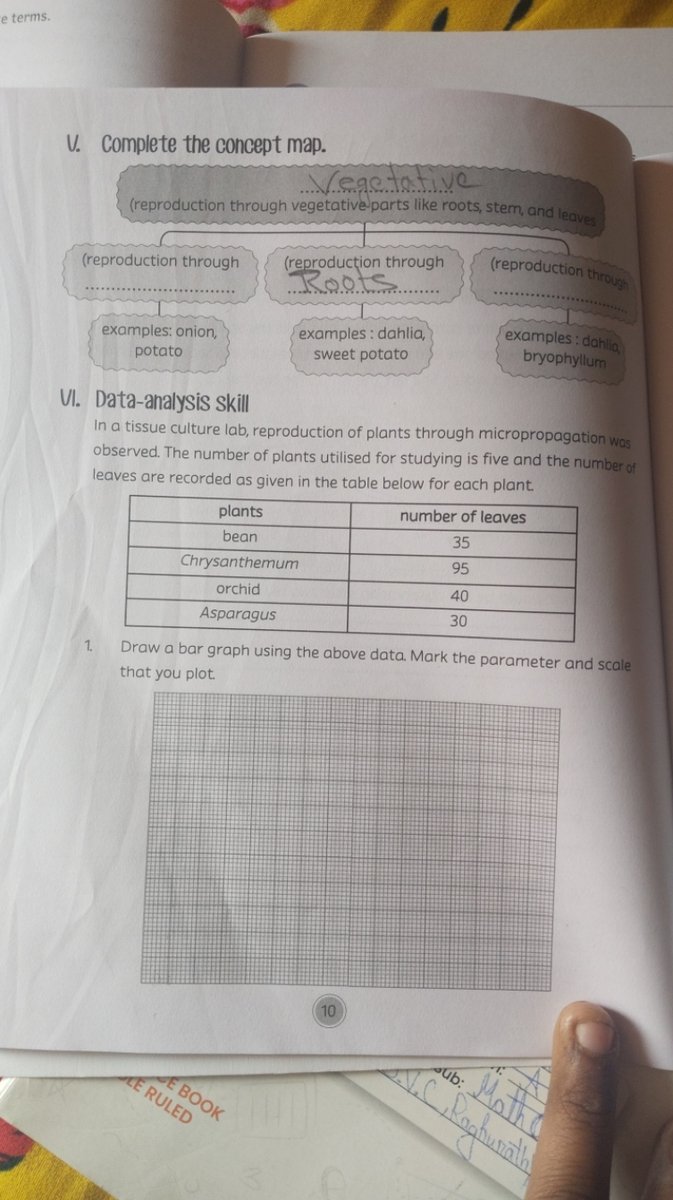V. Complete the concept map. (reproduction through vegetative parts like..