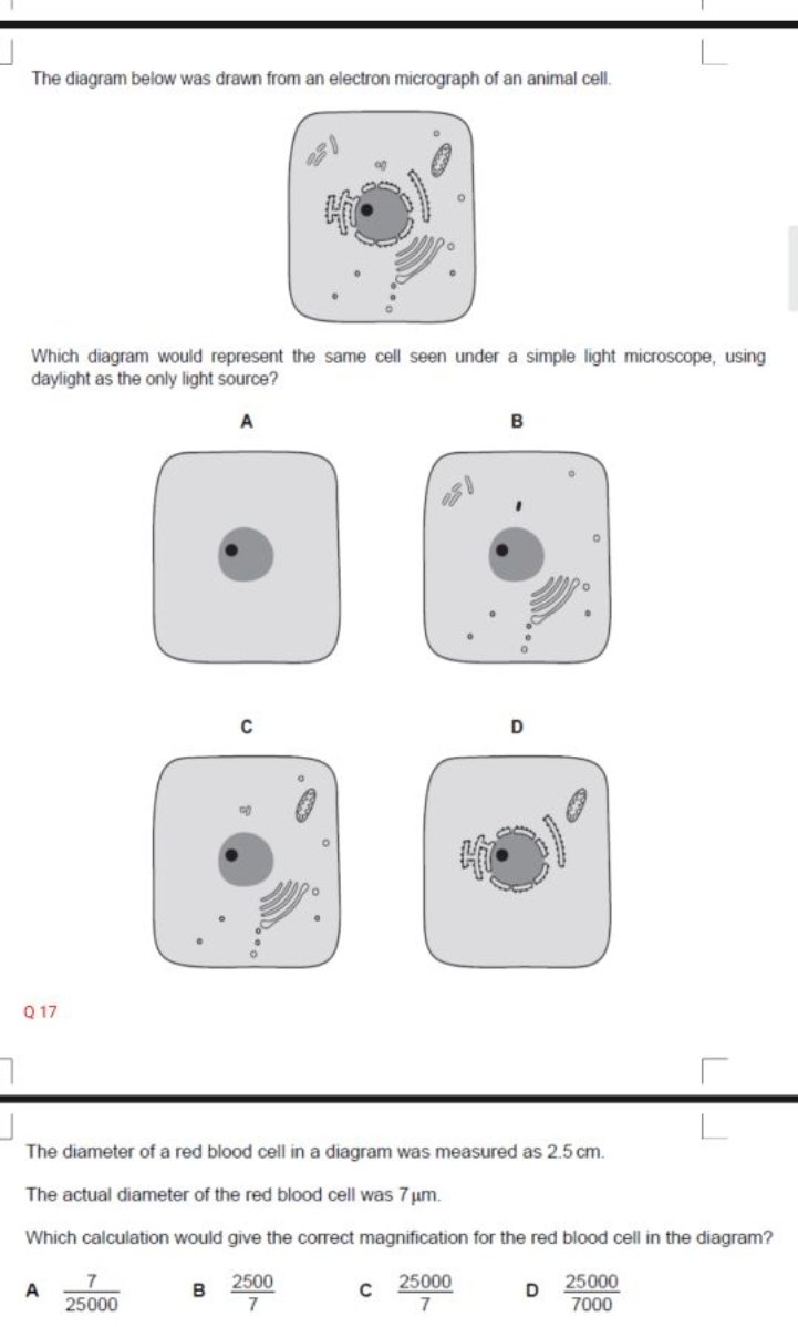 The diagram below was drawn from an electron micrograph of an animal cell..