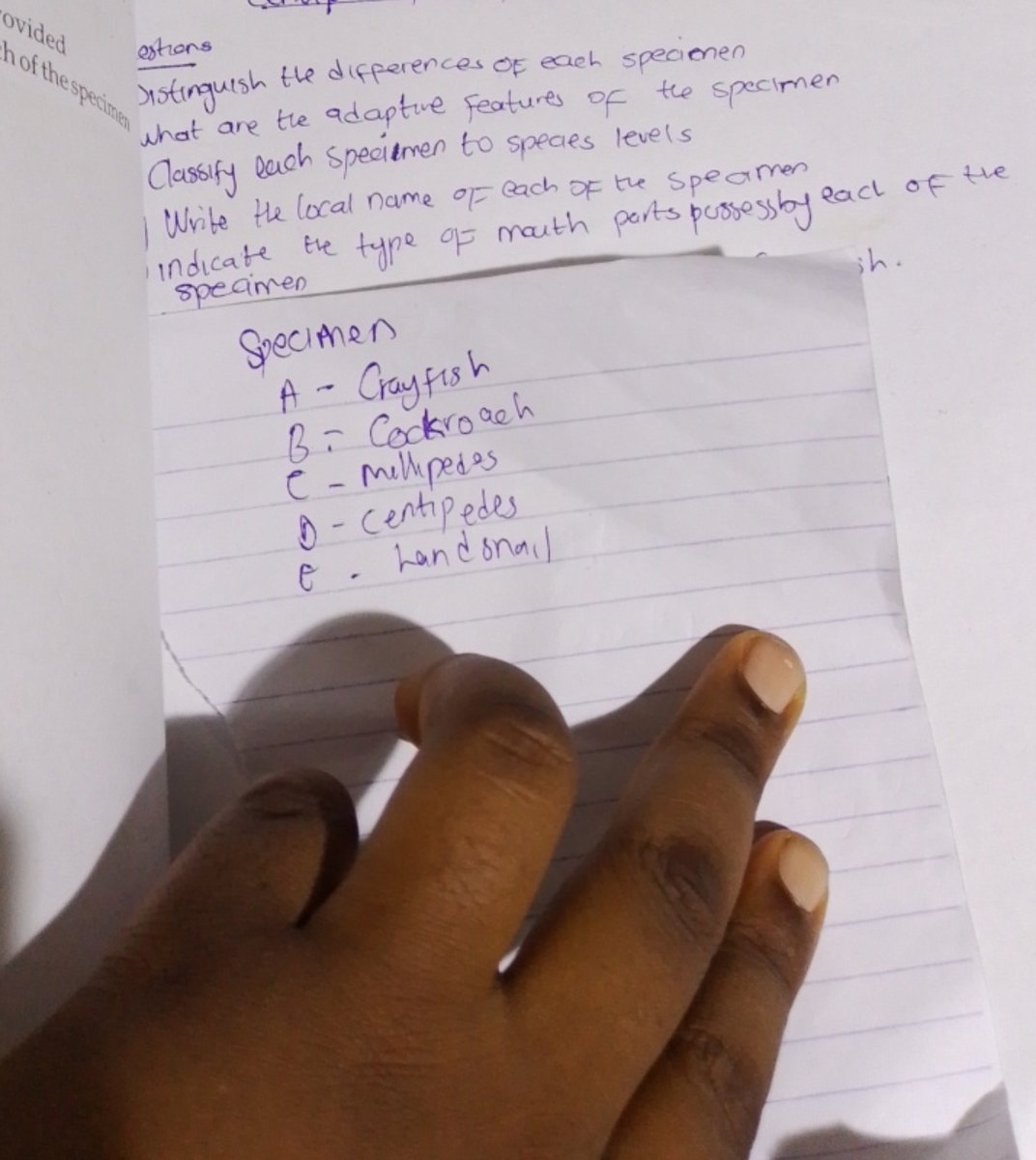 Here are the questions: Distinguish the differences of each specimen. Wh..