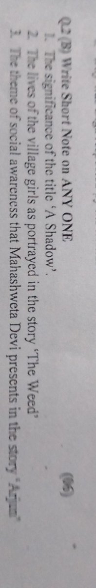 Q.2 (B) Write Short Note on ANY ONE The significance of the title 'A Shad..