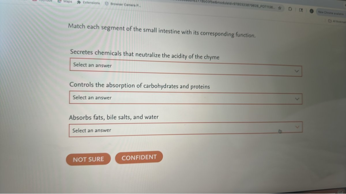 Match each segment of the small intestine with its corresponding function..