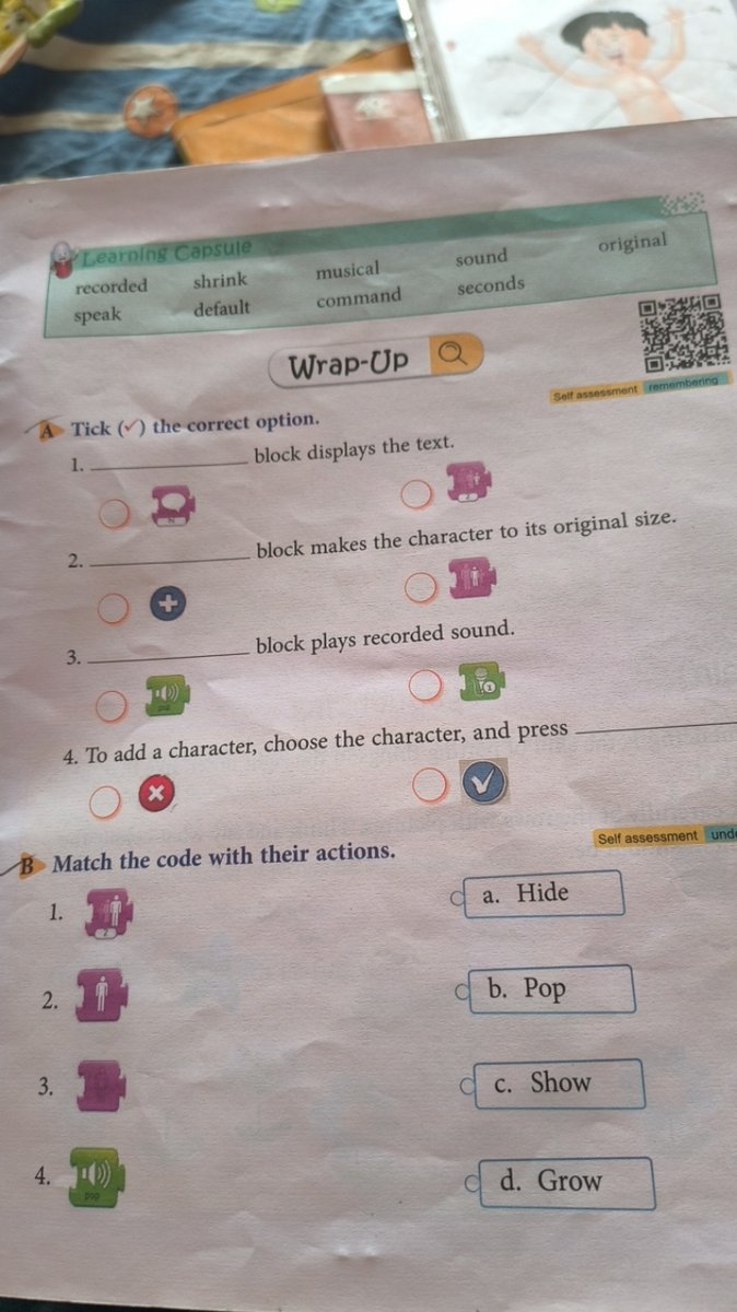 A. Tick ( ) the correct option. __ block displays the text. (Options