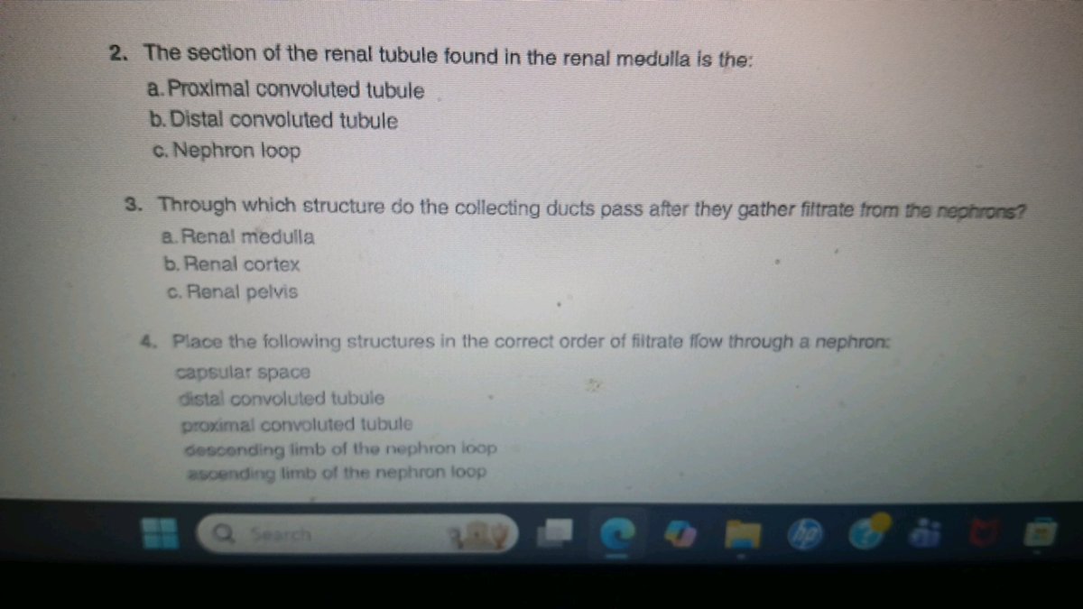 The section of the renal tubule found in the renal medulla is the: a. Pro..