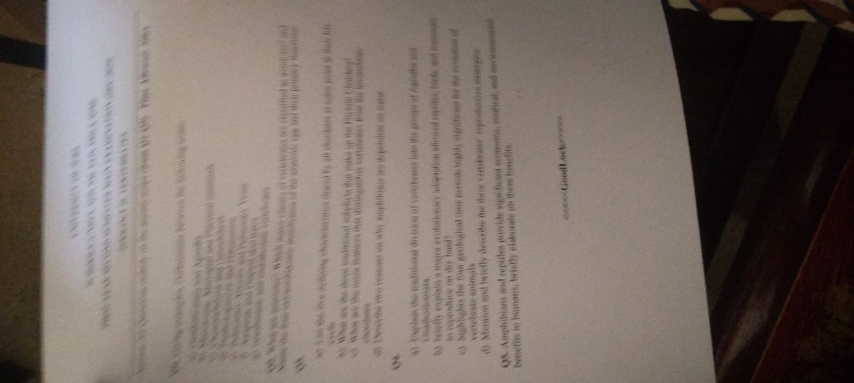 a) Explain the traditional division of vertebrates into the groups of Agn..