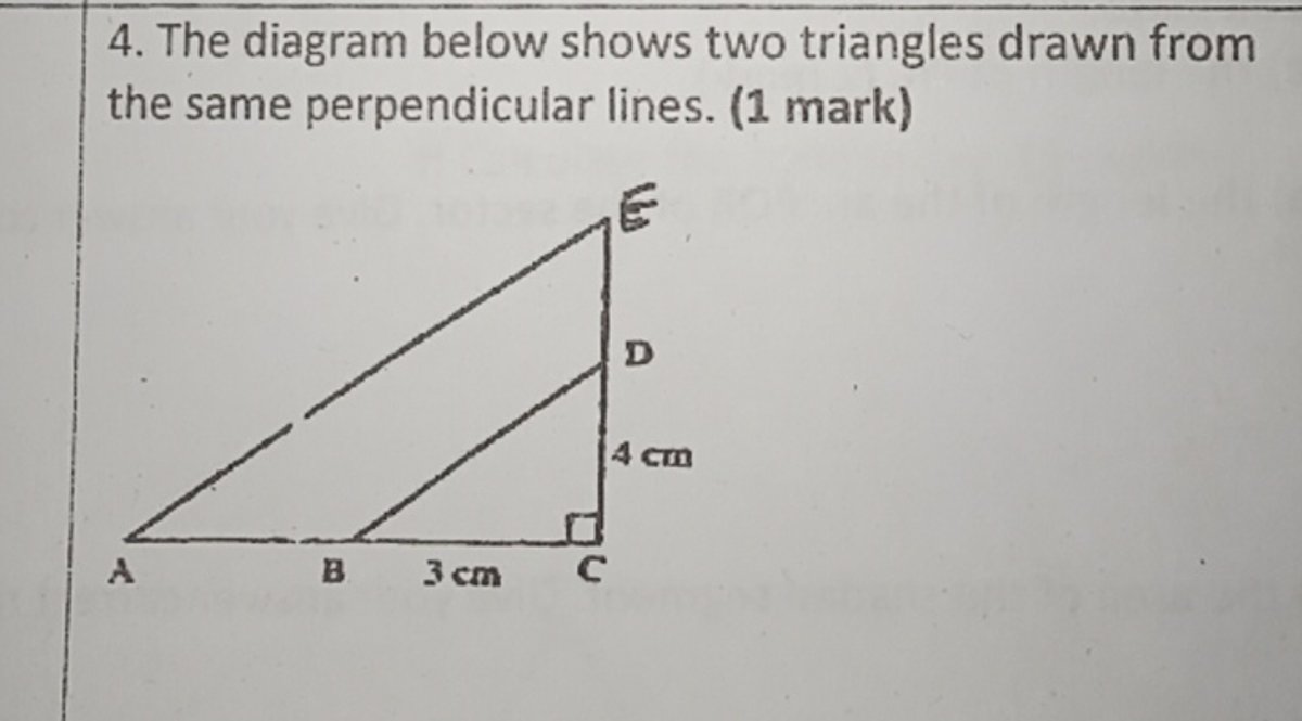 The diagram below shows two triangles drawn from the same perpendicular l..