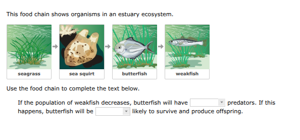 This food chain shows organisms in an estuary ecosystem. [Diagram showin..