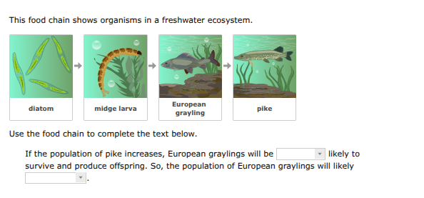 This food chain shows organisms in a freshwater ecosystem. [Diagram show..