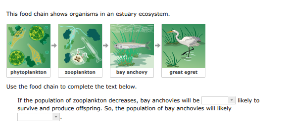 This food chain shows organisms in an estuary ecosystem. [Diagram showin..