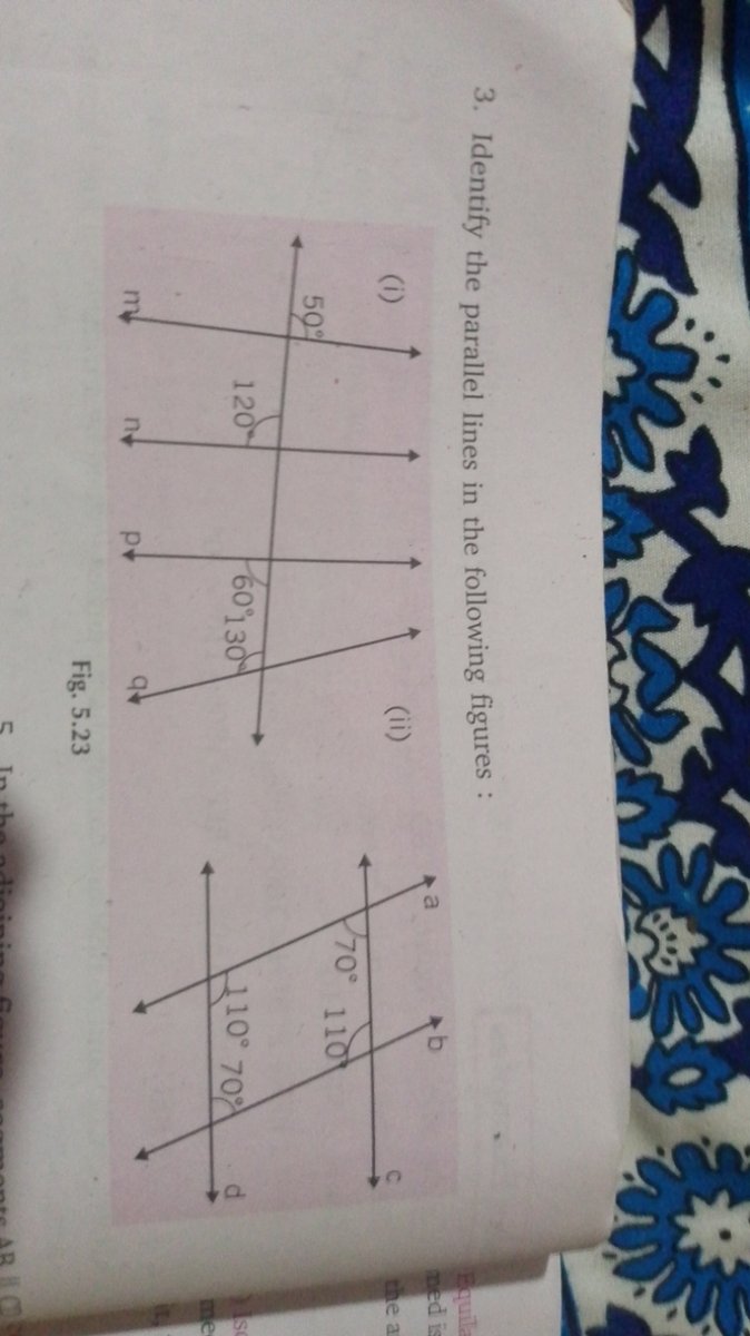 Identify the parallel lines in the following figures: (i) (ii) (iii)