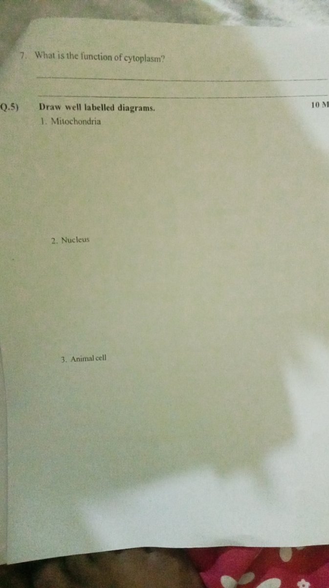 What is the function of cytoplasm? Q.5) Draw well labelled diagrams. Mit..