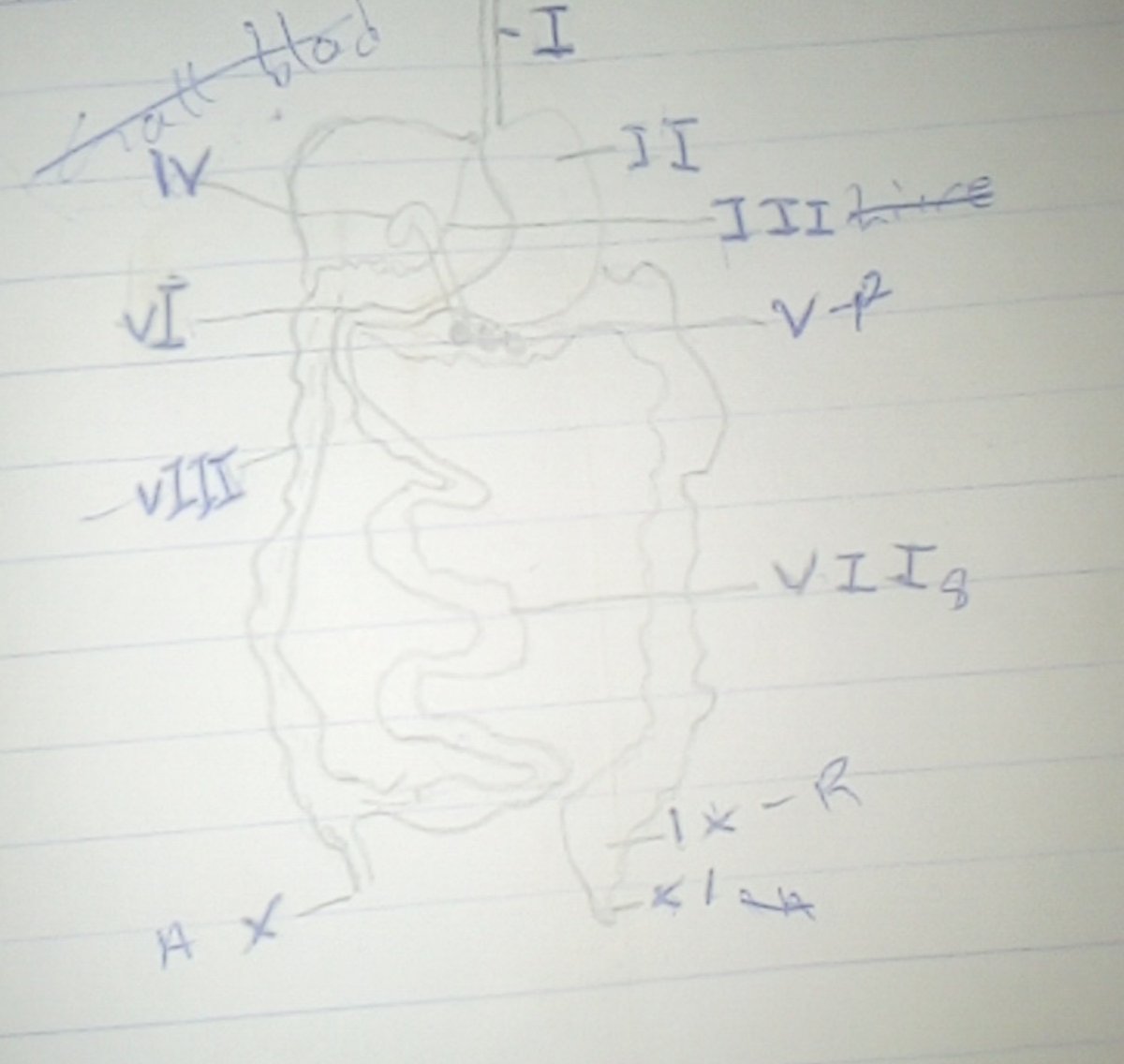 The user has provided a hand-drawn diagram of what appears to be parts of..