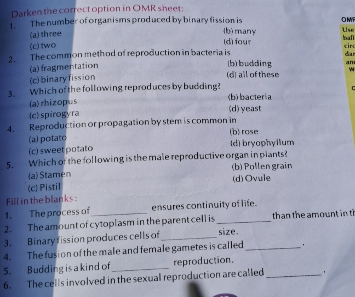 Darken the correct option in OMR sheet: The number of organisms produced..